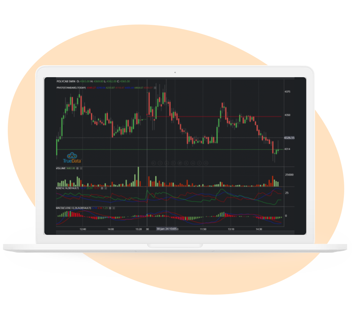 TrueData Market Widgets | Charting Library | Options Strategy Builder