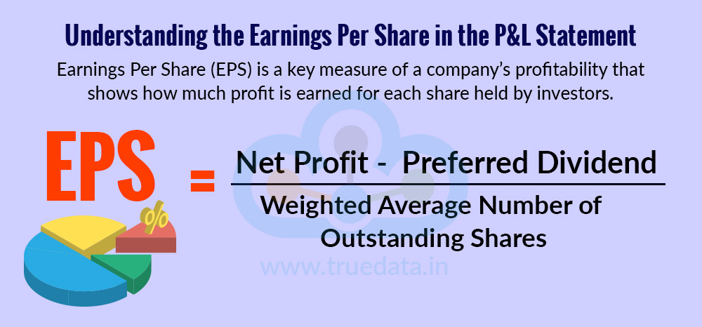Profit and Loss Statement - Expenses, Profits and Earnings